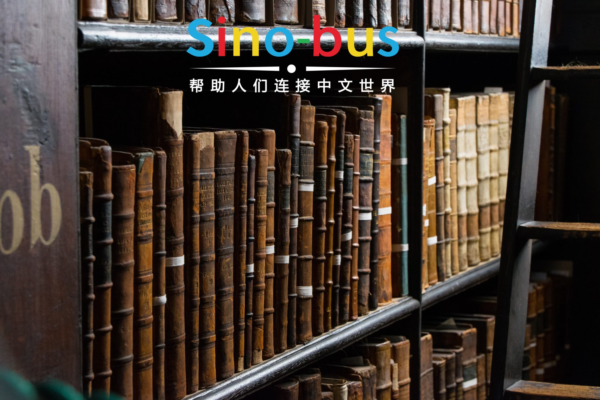中文數學線上補習-Sinobus